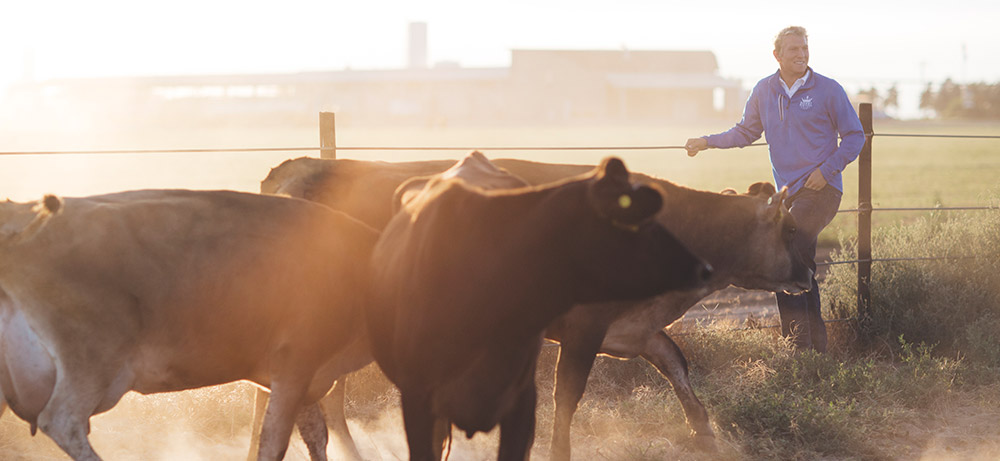 Cow Care - Washington Dairy