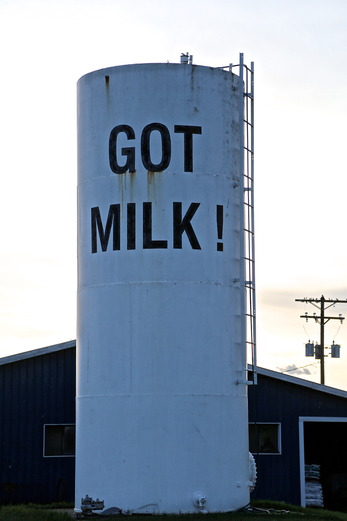 Dairying: Through a Woman’s Eyes