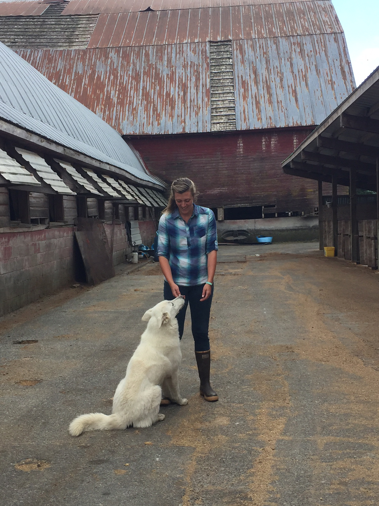 Follow Nora’s Instagram page for updates on what’s happening at the ...